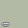 Glidden Premium 5 gal. PPG1124-4 Light Sage Satin Exterior Latex Paint ...