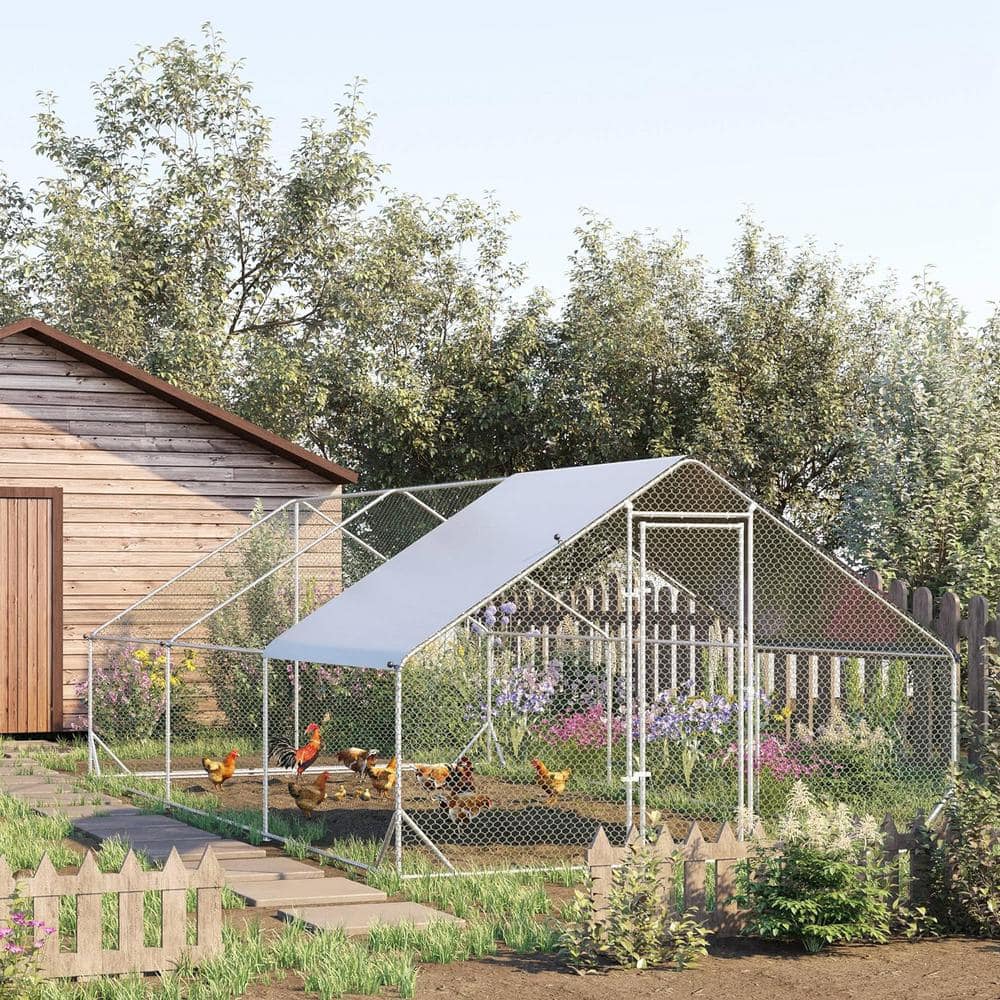 Runesay 10 ft. L x 20 ft. W x 6.56 ft. H Market Large Metal Chicken ...