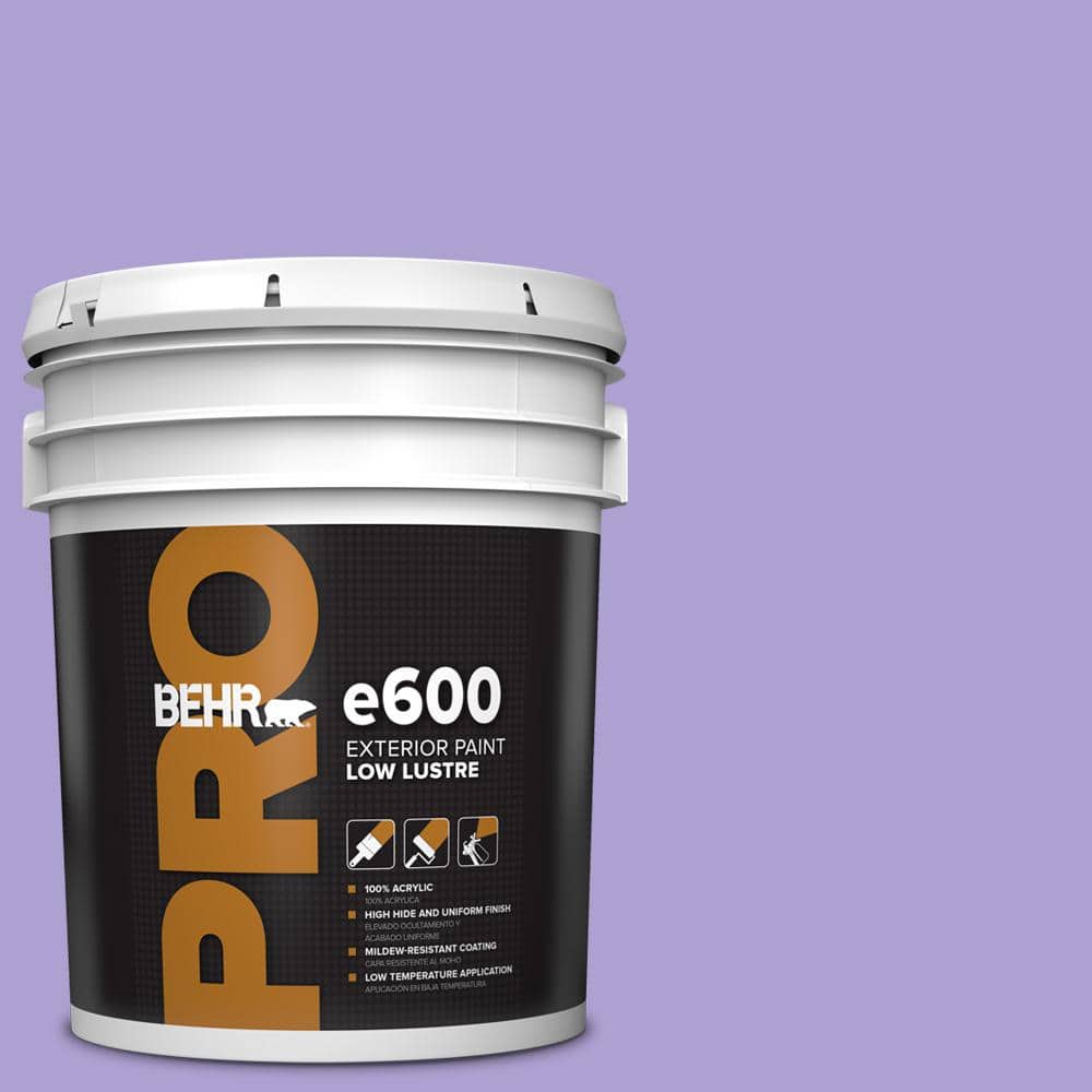 BEHR PRO 5 gal. #P560-4 Magic Wand Low Luster Exterior Paint PR62005 ...
