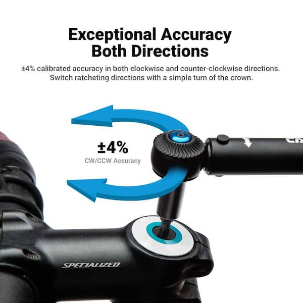 Capri Tools 1/4 in. Drive 3 to 16 Nm Mini Torque Wrench Set CP31800 ...