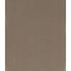 FORMICA 5 ft. x 12 ft. Laminate Sheet in Earth Wash with Matte Finish ...