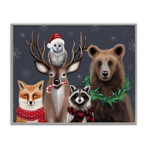 Stupell Industries Woodland Animals in Winter by Deb Strain 1-Piece Framed Graphic Print Animal ...
