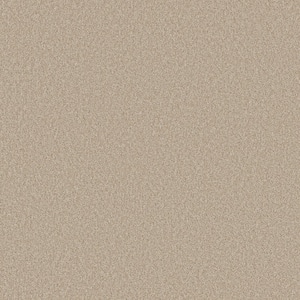 Lifeproof 8 in. x 8 in. Texture Carpet Sample - Coastal Charm I -Color ...