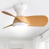 Sofucor 23 in. Indoor/Outdoor Small Modern Ceiling Fan with 6-Speed DC ...
