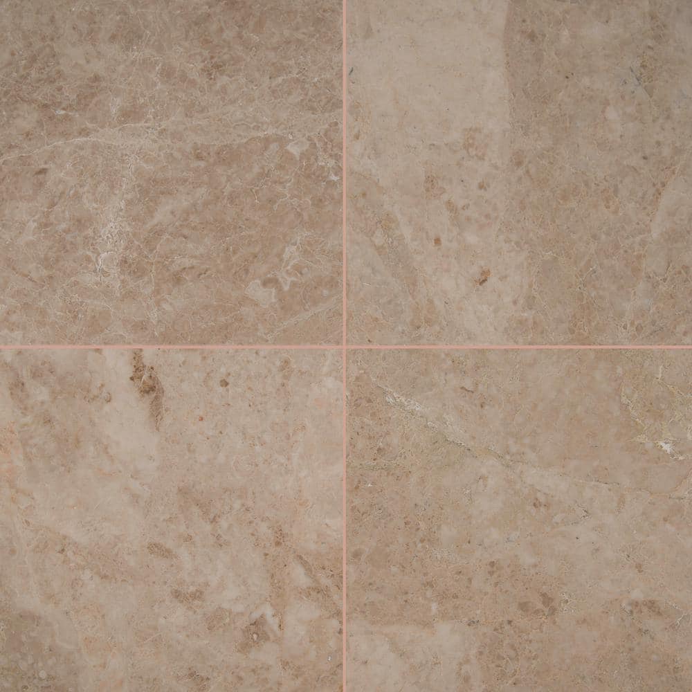 MSI Crema Cappuccino 12 in. x 12 in. Polished Marble Floor and Wall ...