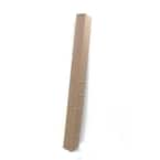 Post Protector 4 in. x 6 in. x 60 in. In-Ground Fence Post Decay ...