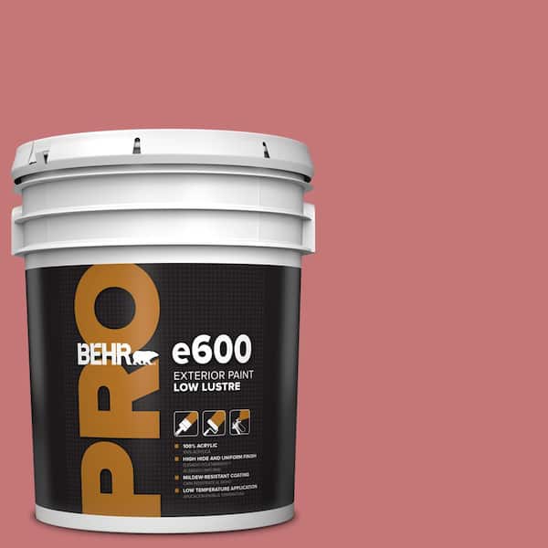 BEHR PRO 5 gal. #150D-5 Deep Bloom Low Luster Exterior Paint PR62305 ...