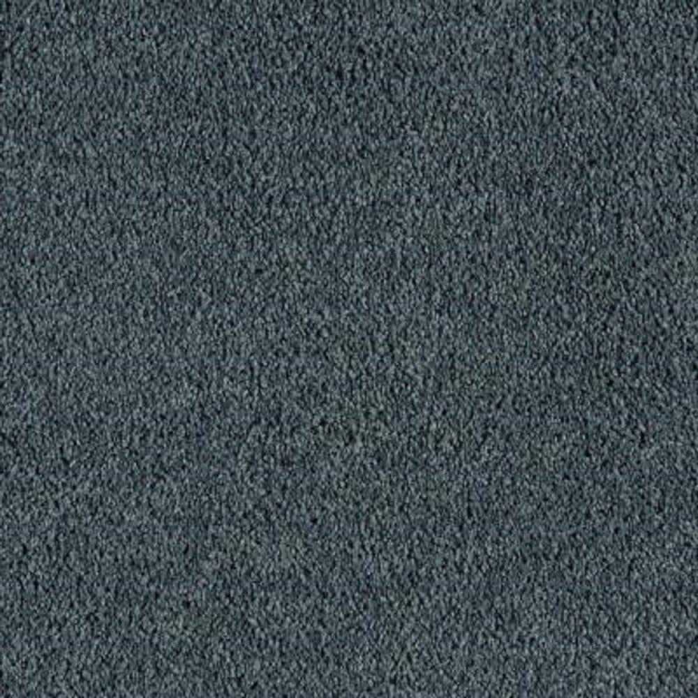 Lifeproof 8 in. x 8 in. Texture Carpet Sample - Ambrosina II -Color ...