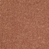 TrafficMaster 8 in. x 8 in. Texture Carpet Sample - Watercolors I ...