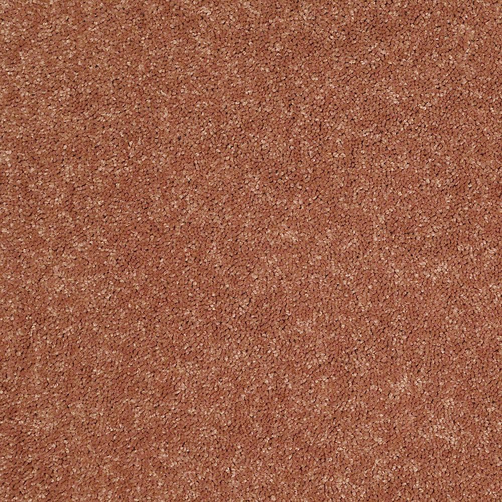 TrafficMaster 8 in. x 8 in. Texture Carpet Sample - Watercolors II ...