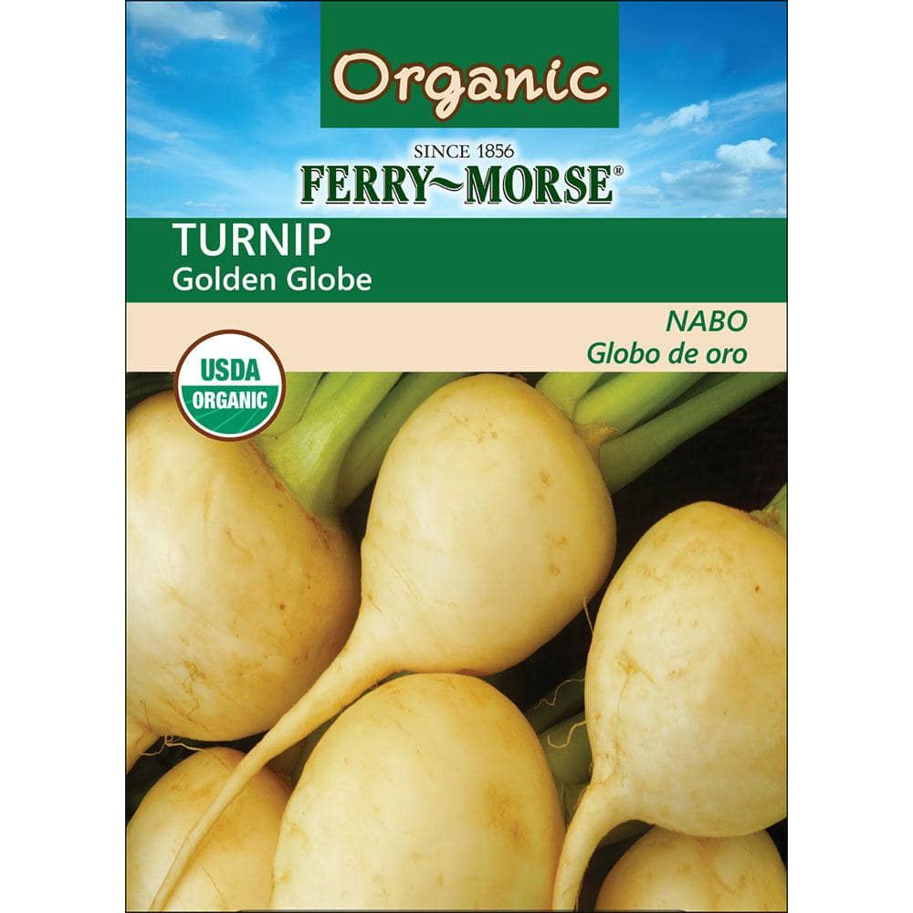 Ferry-Morse Organic Turnip Golden Globe Vegetable Seed 9642 - The Home ...