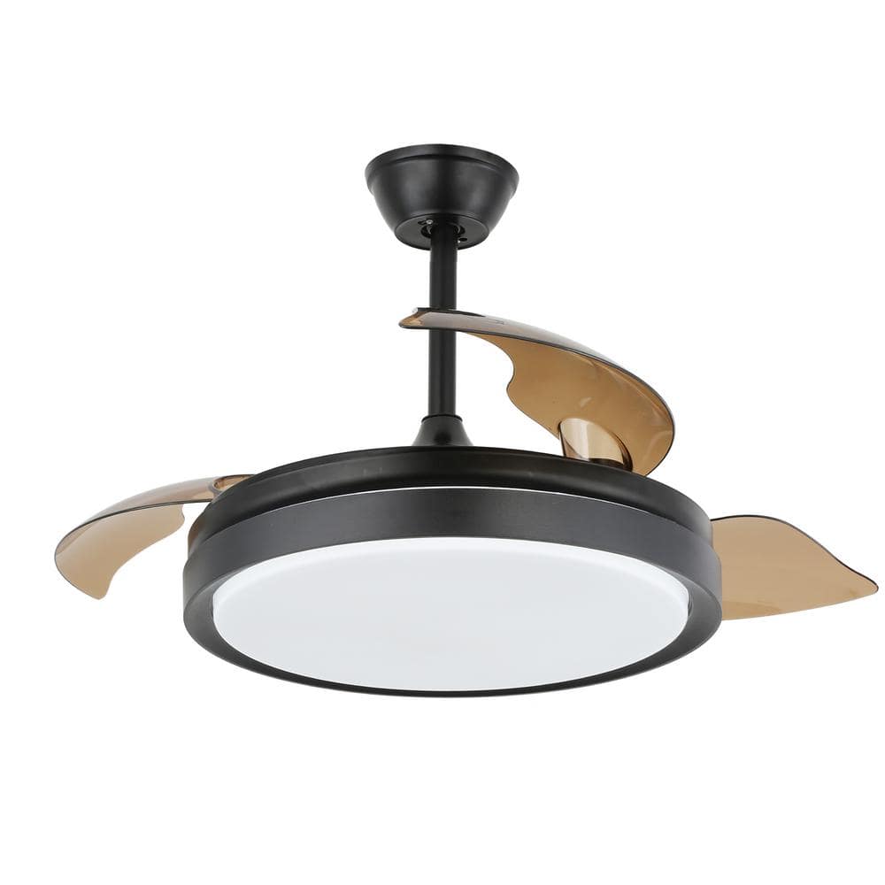 Oaks Aura Oaksville 42in. LED Indoor Black 6-Speed Classic Retractable ... Oaks Aura Oaksville 42in. LED Indoor Black 6-Speed Classic Retractable ...
