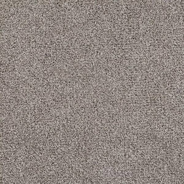 Lifeproof 8 in. x 8 in. Texture Carpet Sample-Velvetine II-Color Jewel ...