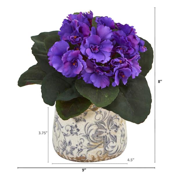 African Violet Design African Violet Surround In Florissant, MO