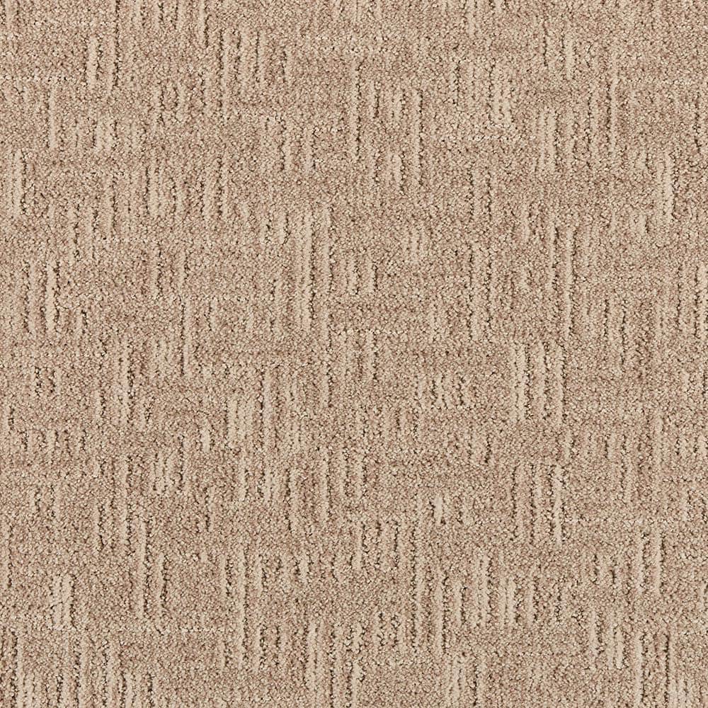 Home Decorators Collection Star of the Show Velvet Drift Beige 37 oz ...