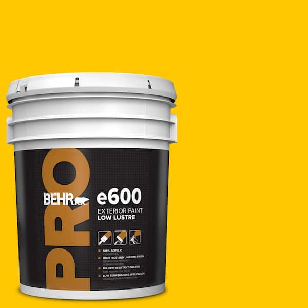 BEHR PRO 5 gal. #S-G-380 Sunny Summer Low Luster Exterior Paint PR62305 ...