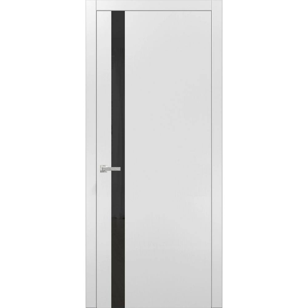 Sartodoors 40 30 in. x 84 in. Right-Hand/Inswing Solid Black Glass ...