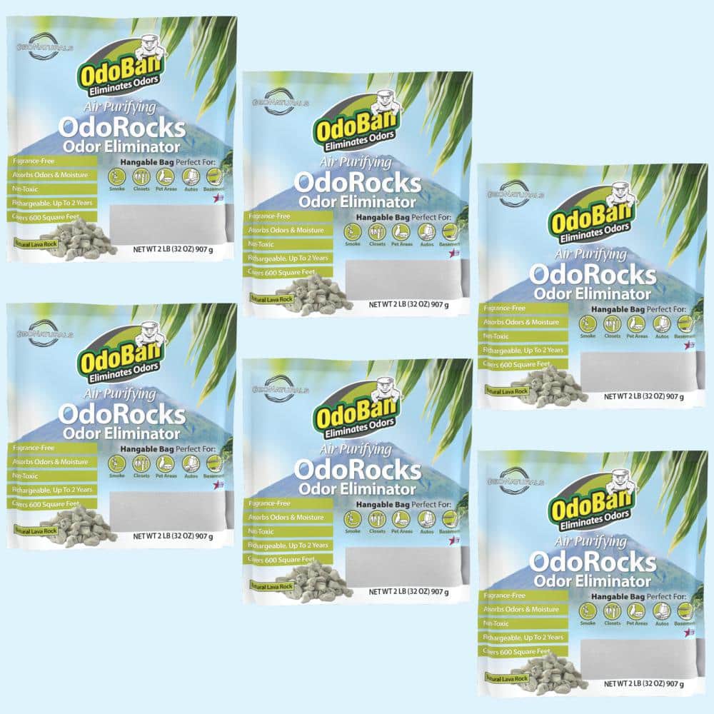 OdoBan 32 oz. OdoRocks Natural Volcanic Rock Odor Eliminator, Unscented ...