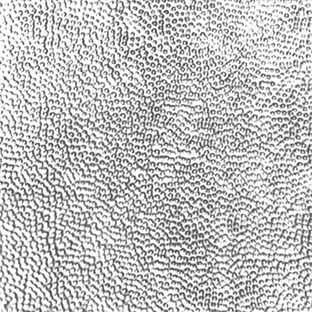 Shanko 2 ft. x 4 ft. Nail Up Tin Ceiling Tile in Brite Chrome (24 sq ...