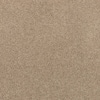 Home Decorators Collection 8 in. x 8 in. Texture Carpet Sample ...
