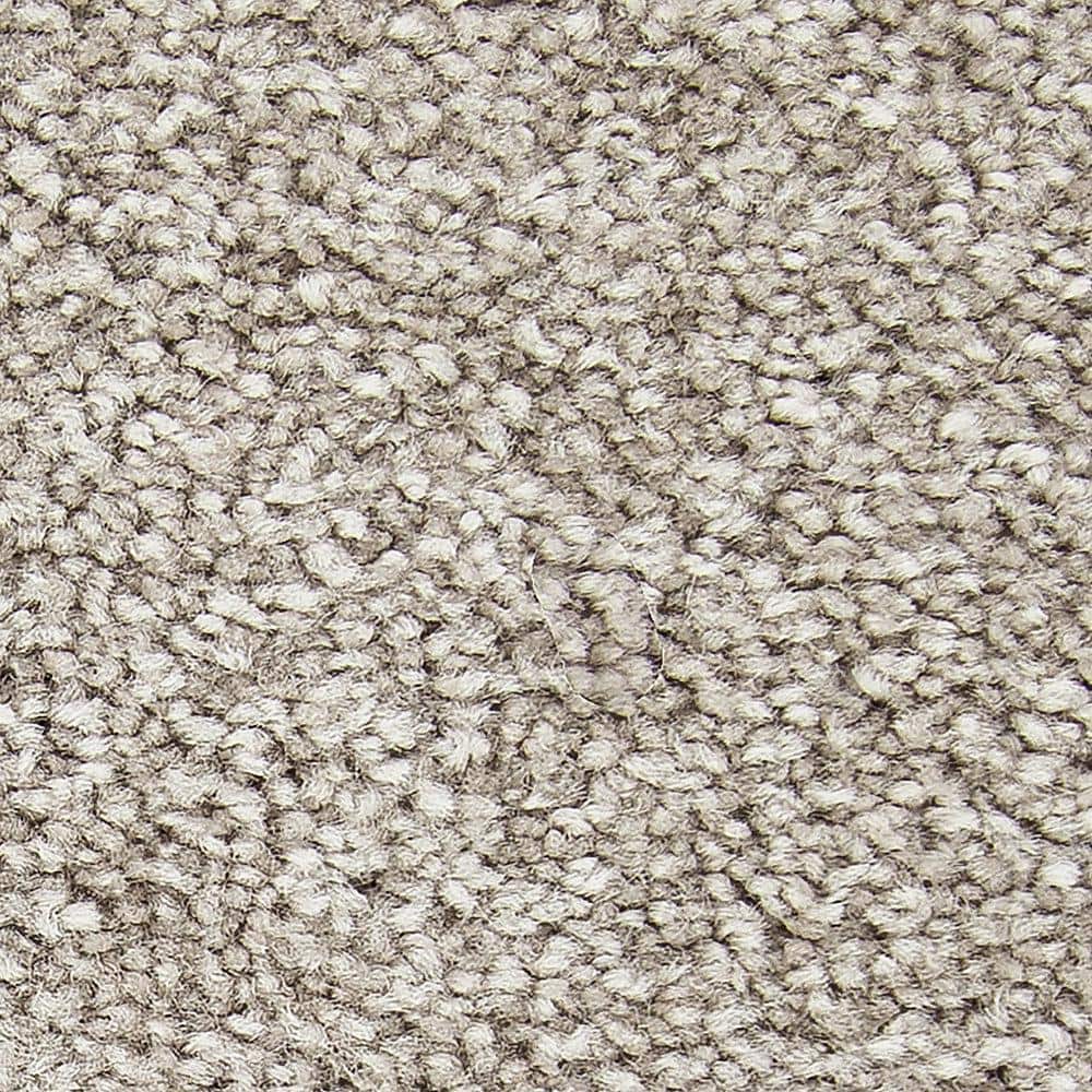 Lifeproof with Petproof Technology 8 in. x 8 in. Texture Carpet Sample ...