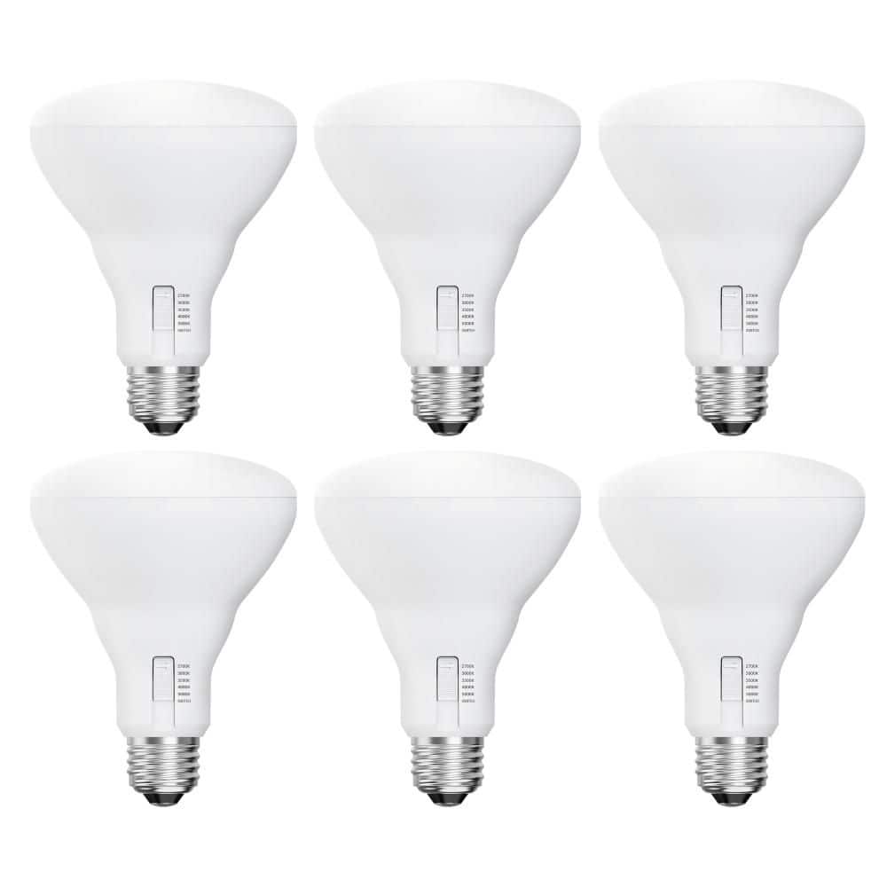 Feit Electric 65-Watt Equivalent BR30 Dimmable 90 CRI E26 LED Flood ...