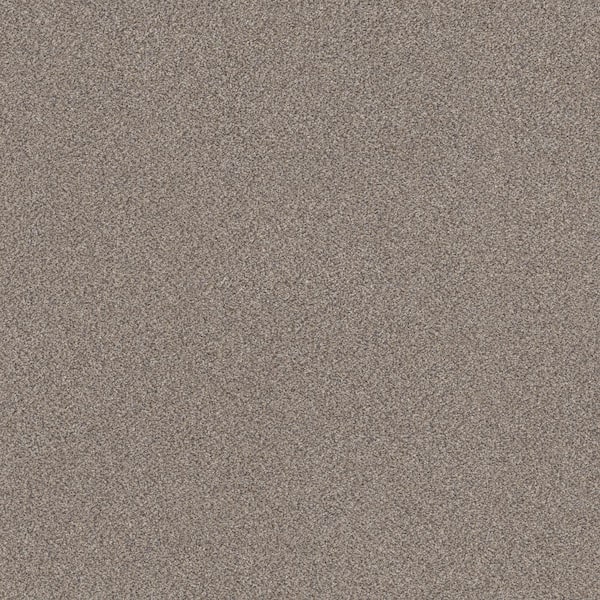 Home Decorators Collection 8 in x 8 in. Texture Carpet Sample ...