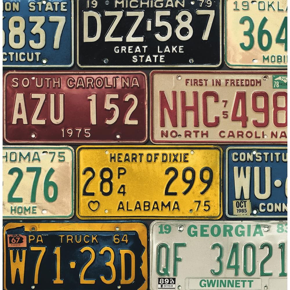 NextWall Multicolored License Plates Vinyl Peel and Stick Wallpaper ...
