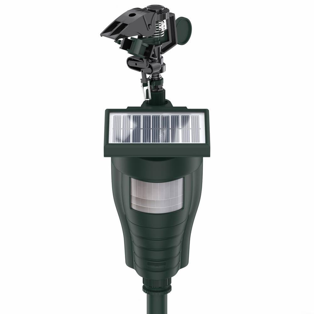 HOONT Cobra Animal Repeller Motion-Activated Solar Powered Water ...