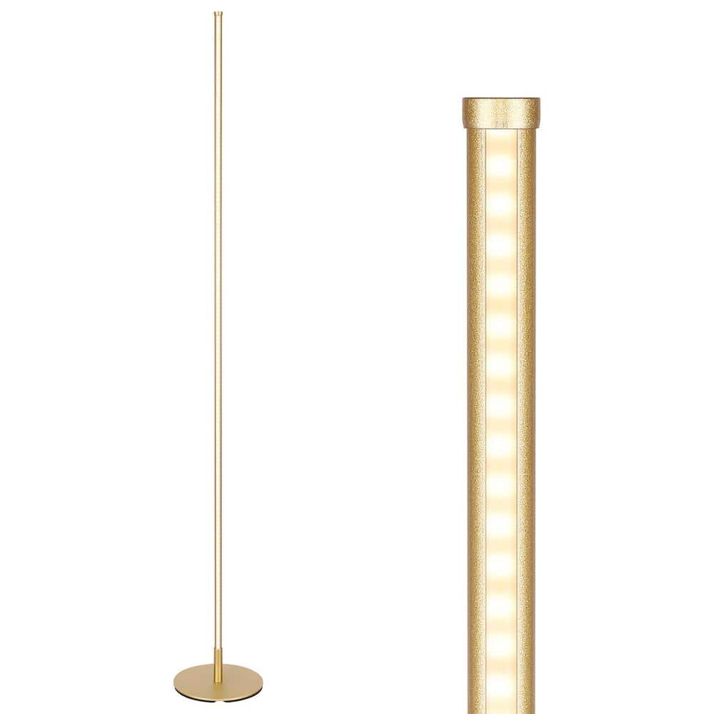 EDISHINE 57.5 in. Gold LED Dimmable Standing Floor Lamp for Living Room ...