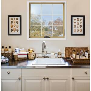 36 x 36 - Windows - Doors & Windows - The Home Depot