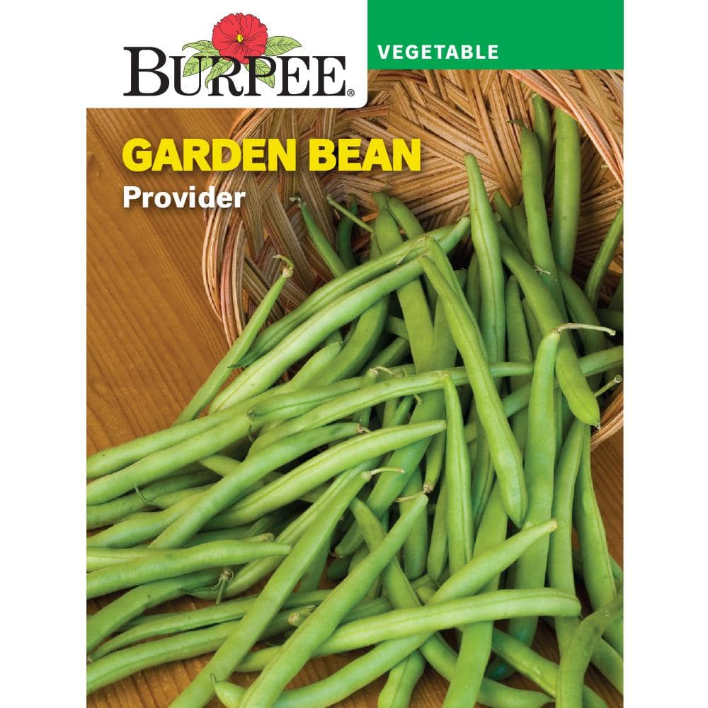 Burpee Organic Bean Bush Snap Provider Seed 60652 - The Home Depot