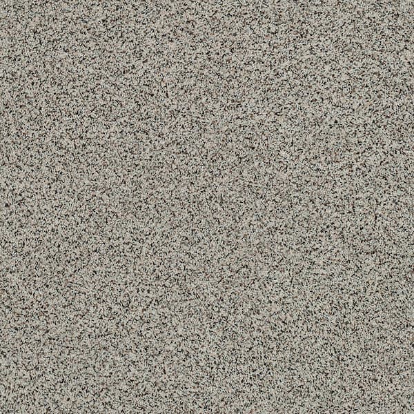 Lifeproof 8 in. x 8 in. Texture Carpet Sample - Madeline II - Color ...