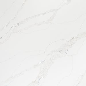 STONEMARK Quartz Countertop Sample in Calacatta Idillio P-QSL-IDILIO ...