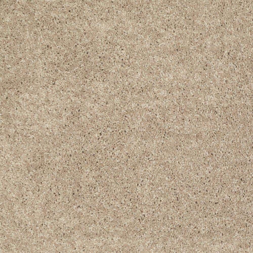 Reviews for TrafficMaster Palmdale I - Honey Wheat - Brown 15 ft. 17.6 oz. Polyester Texture ...