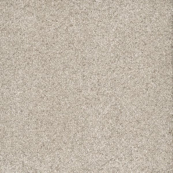 Home Decorators Collection 8 in. x 8 in. Texture Carpet Sample ...