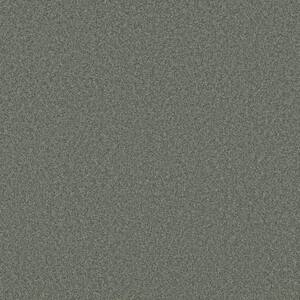 Lifeproof 8 in. x 8 in. Texture Carpet Sample - Coastal Charm I -Color ...