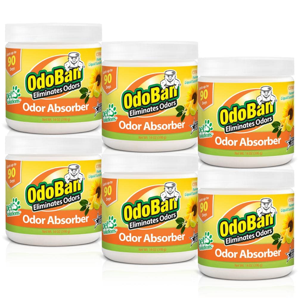 OdoBan 14 oz. Citrus Solid Odor Absorber, Odor Eliminator for Smoke ...
