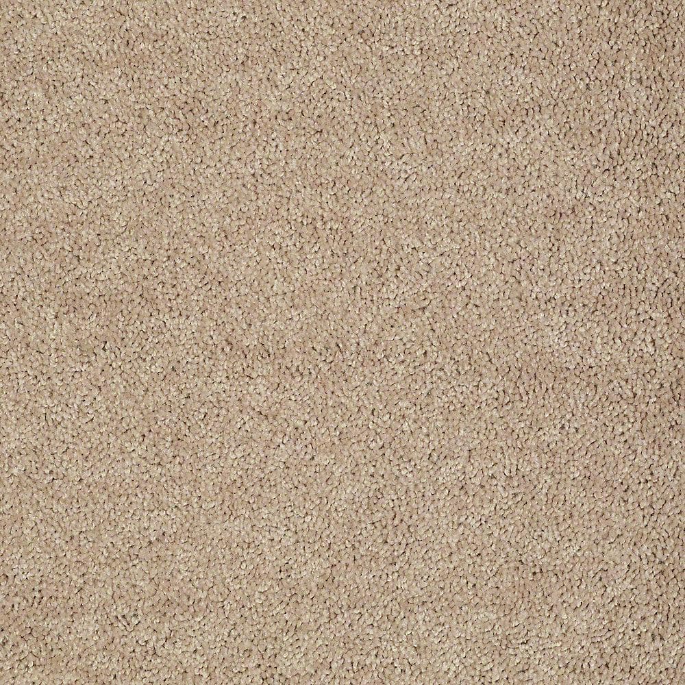 TrafficMaster 8 in. x 8 in. Texture Carpet Sample - Alpine - Color ...