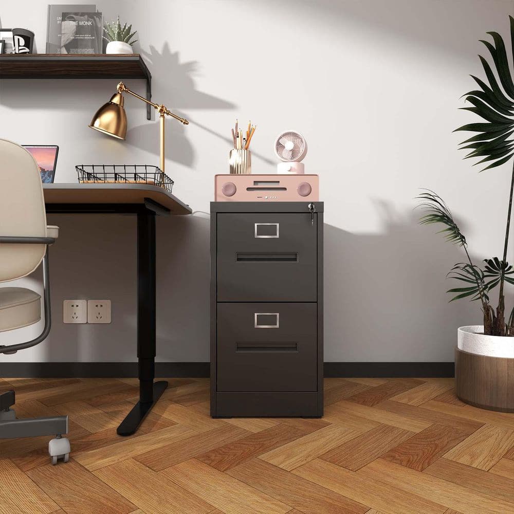 2-Drawer Black Metal 14.96 in. W Locked Vertical File Cabinet Narrow ...