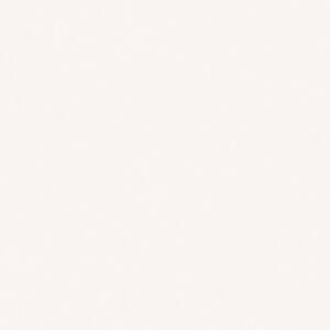 FORMICA 4 ft. x 8 ft. Laminate Sheet in White with Matte Finish ...