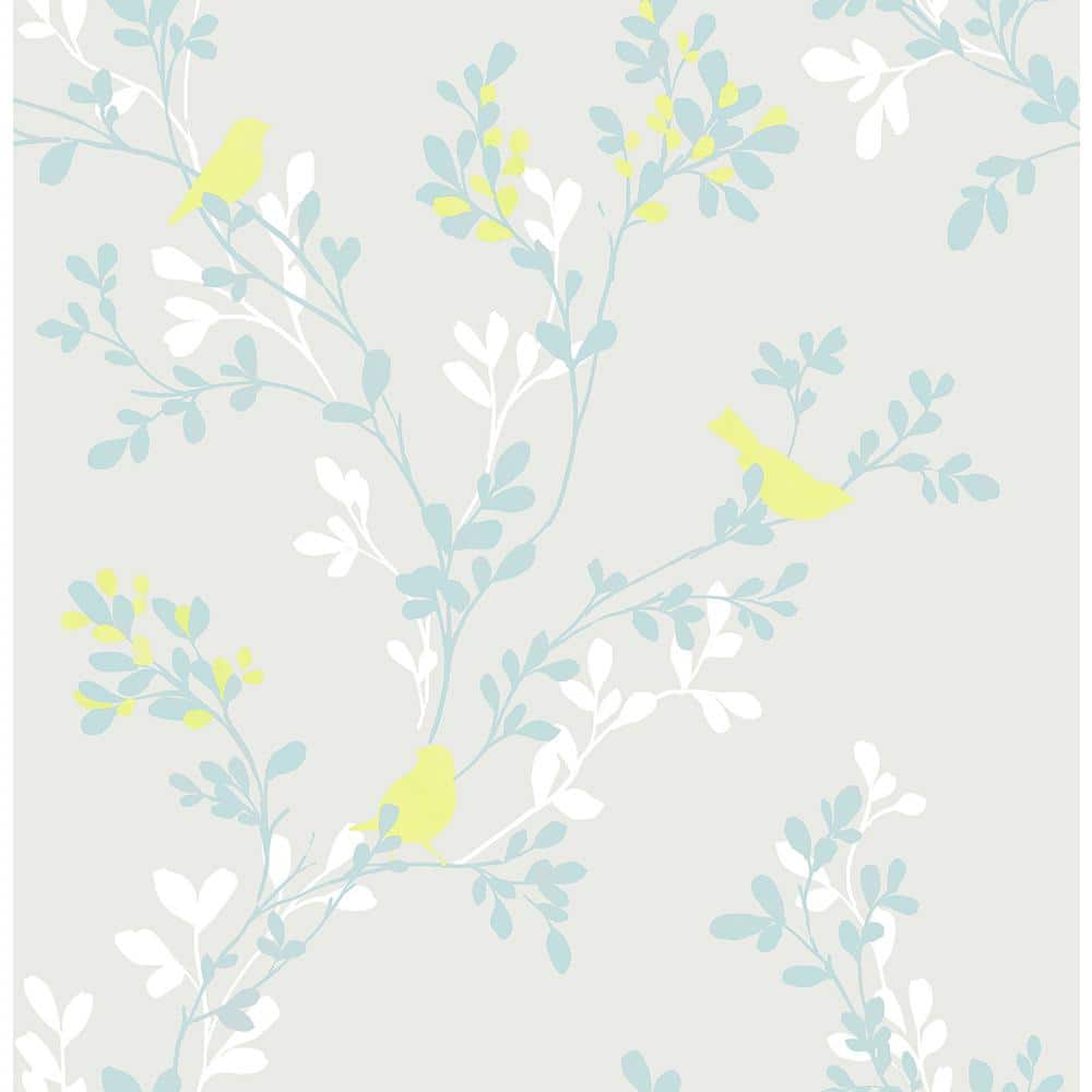 Brewster Chirp Grey Birds & Trees Grey Wallpaper Sample 2704-22680SAM ...