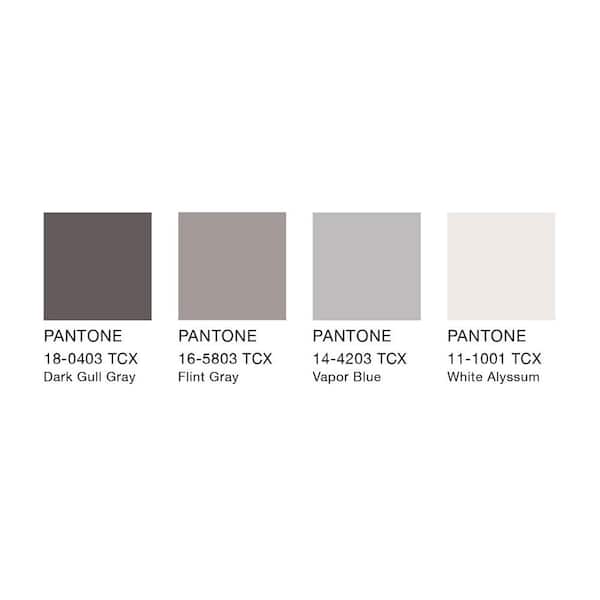 Charcoal Color Pantone