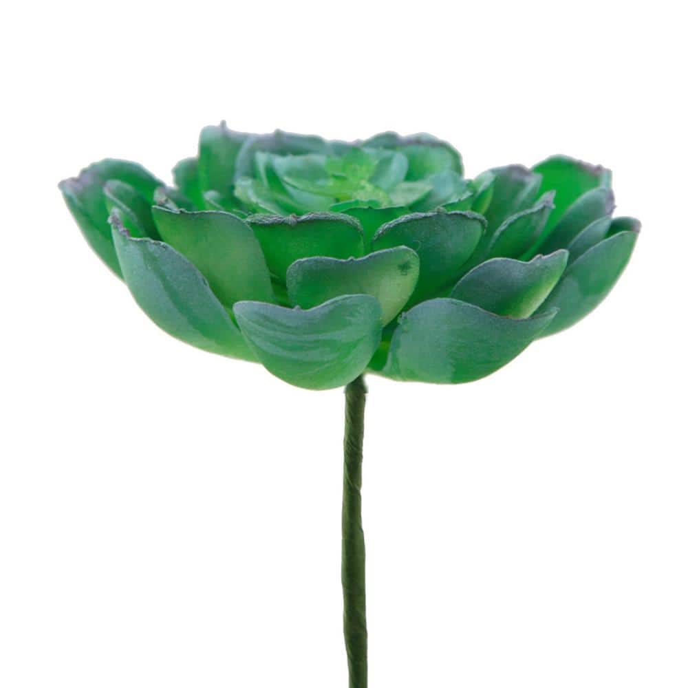 Flora Bunda Set of 6 Artificial Large Echeveria Powder Succulent Plant ...