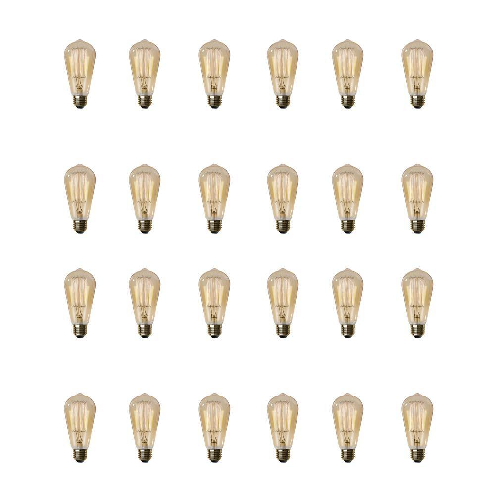 Reviews for Feit Electric 60-Watt ST19 Dimmable Cage Filament Amber Glass E26 Vintage Edison ...