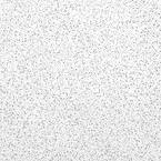 USG Ceilings 2 ft. x 2 ft. Radar Basic White Shadowline Tapered Edge ...