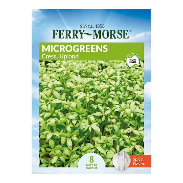 Ferry-Morse Cress Upland Micro-greens Herb Seeds 9022 - The Home Depot