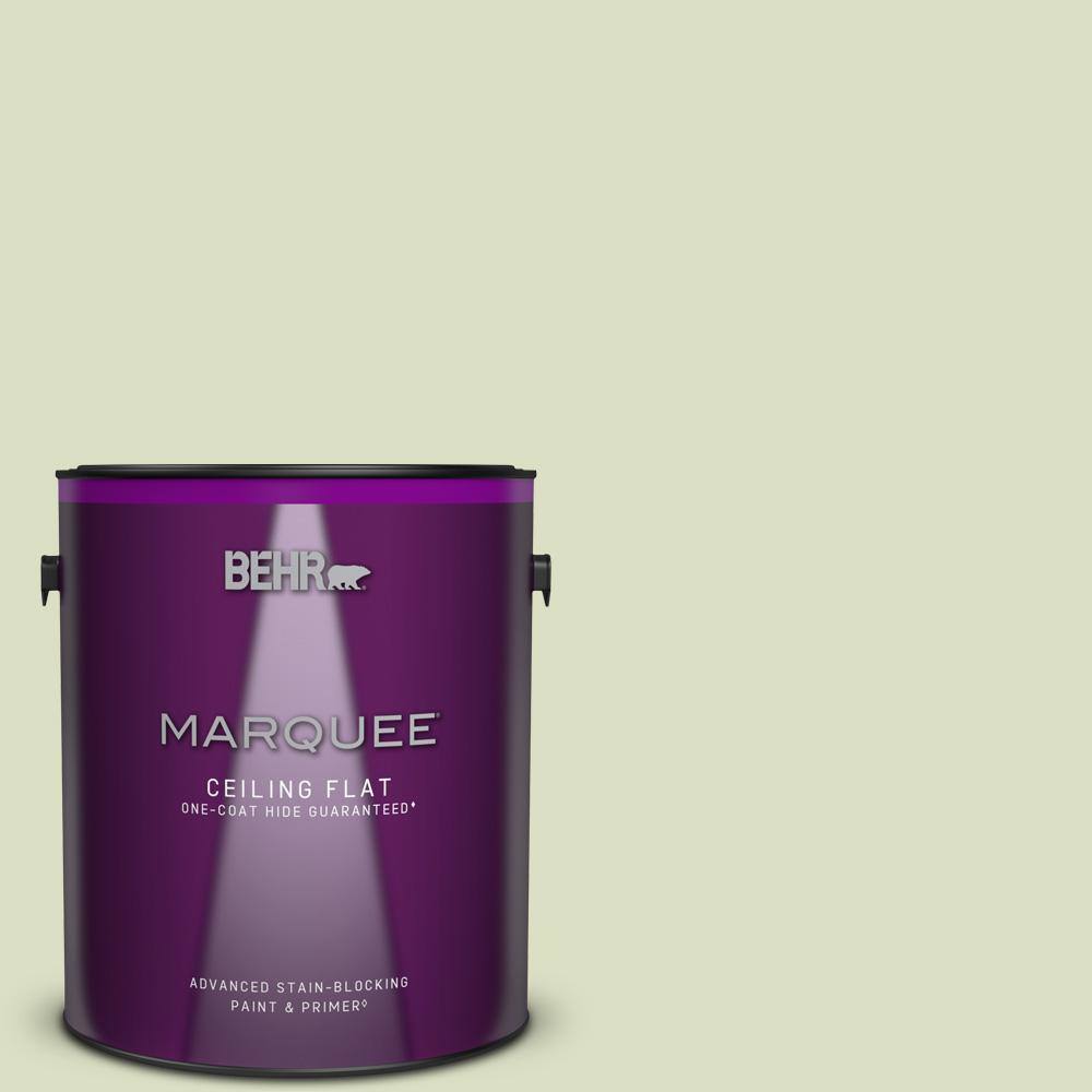BEHR MARQUEE 1 gal. #MQ3-47 Airy Green One-Coat Hide Ceiling Flat ...