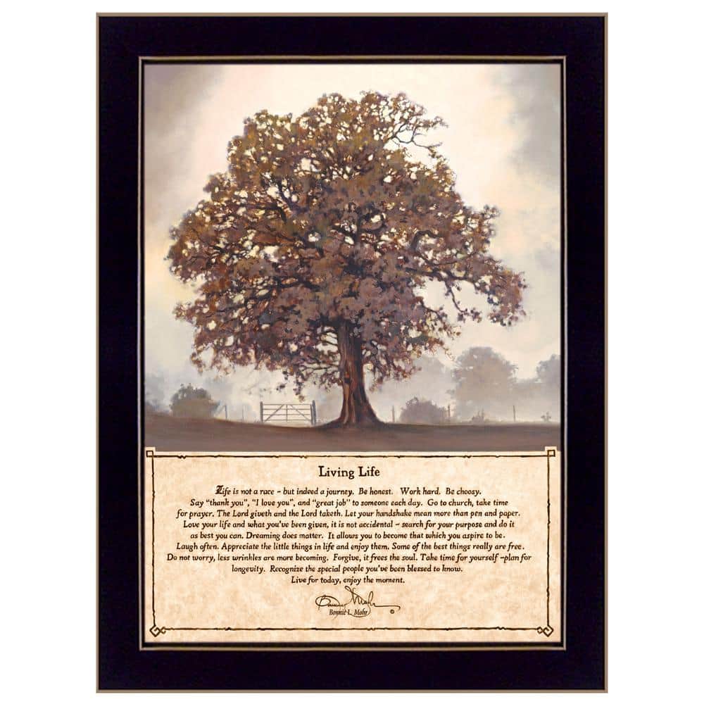 Afoxsos Multi-color Living Life Framed Wall Art Modern Home Framed ...