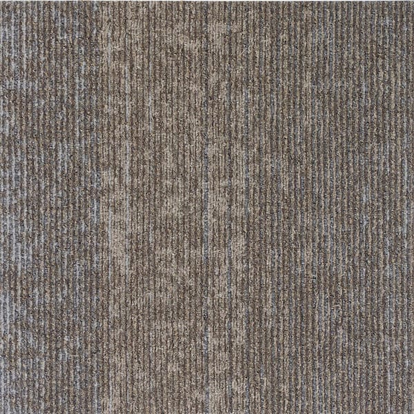 Mohawk 8 in. x 8 in. Textured Loop Carpet Sample - Elite -Color ...